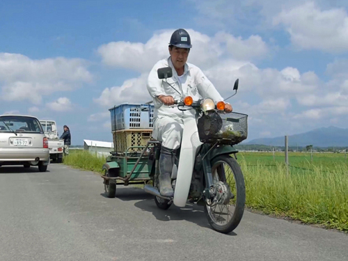 aigamo_baike1-thumb-500×375-3806.jpg | 肝付町観光協会